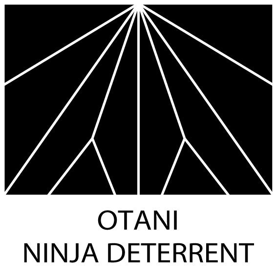 Invisible Security Spikes: Enhance Home Protection with Landscape ...